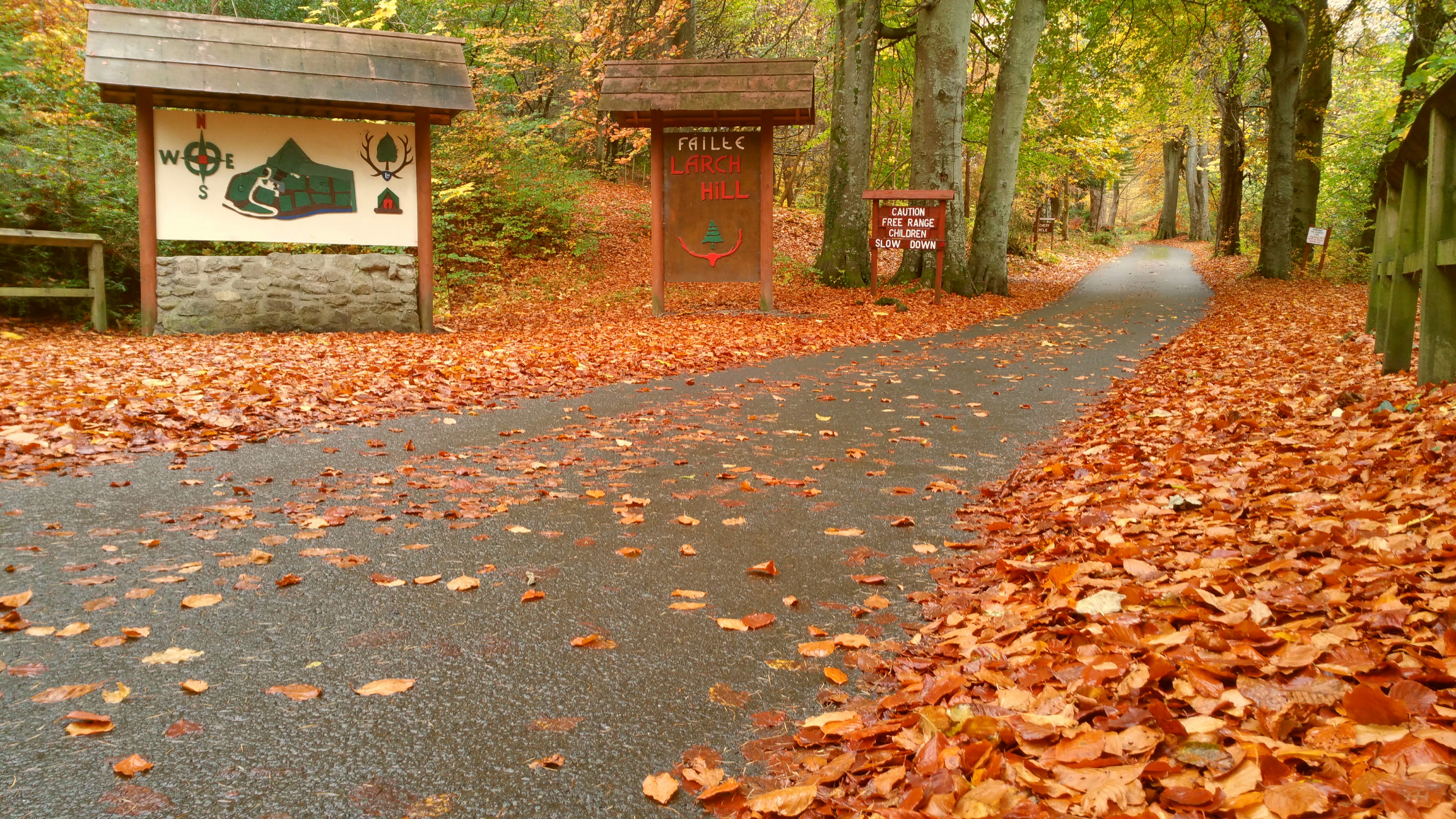 Home [dpfgfkorg.github.io]